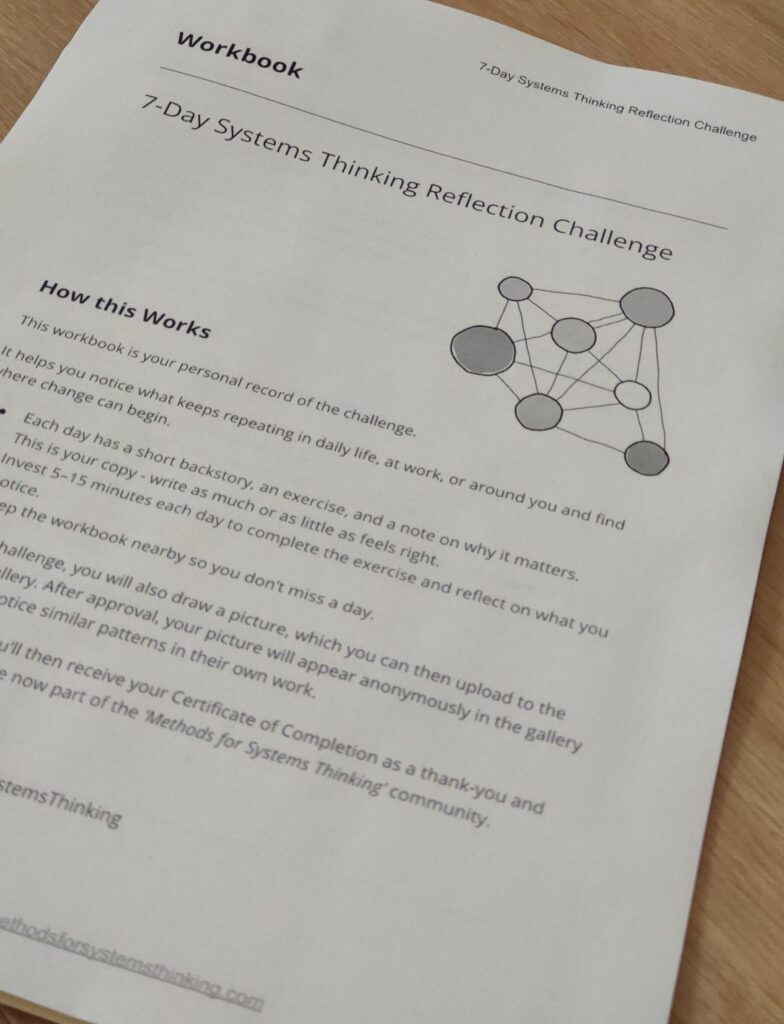 Free 7-Day Systems Thinking Reflection Challenge